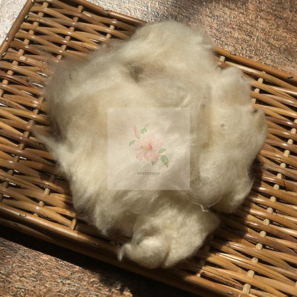 Indonesian Kapok Fiber [カポック繊維, カポックアパレル]